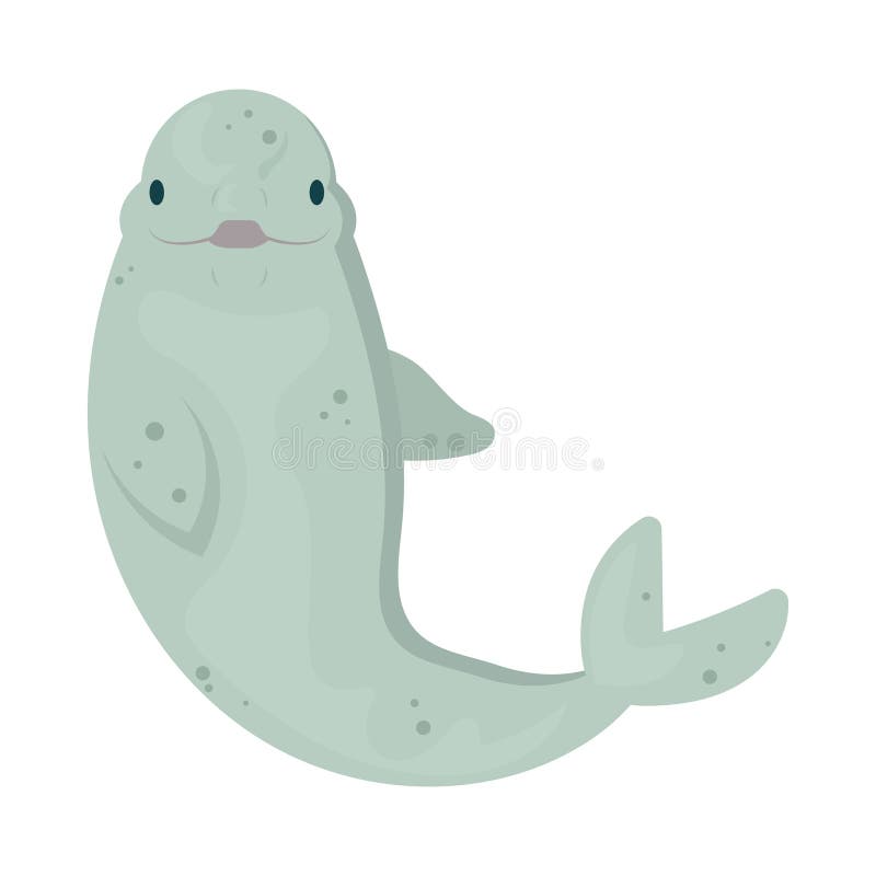 Cartoon beluga design stock vector. Illustration of beluga - 273190737