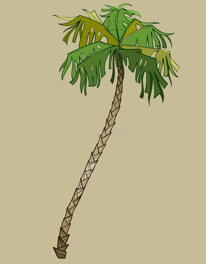 Cartoon Bent Coconut Tree without Coconuts Stock Vector - Illustration ... Cartoon Bent Coconut Tree without Coconuts Stock Vector - Illustration ...