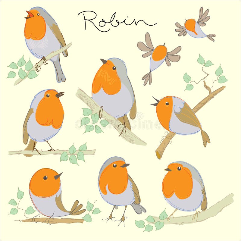 Cartoon birds. Robin set stock vector. Illustration of birds - 88130443