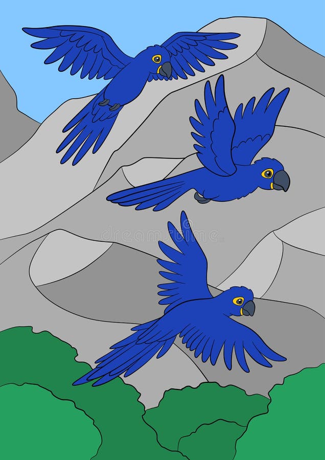 Blue Macaw Rio Clipart