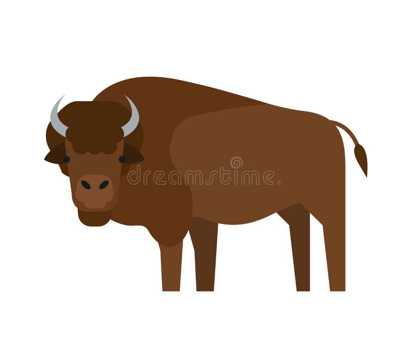 Standing Bison Side View Vector Design Stock Vector - Illustration of ...