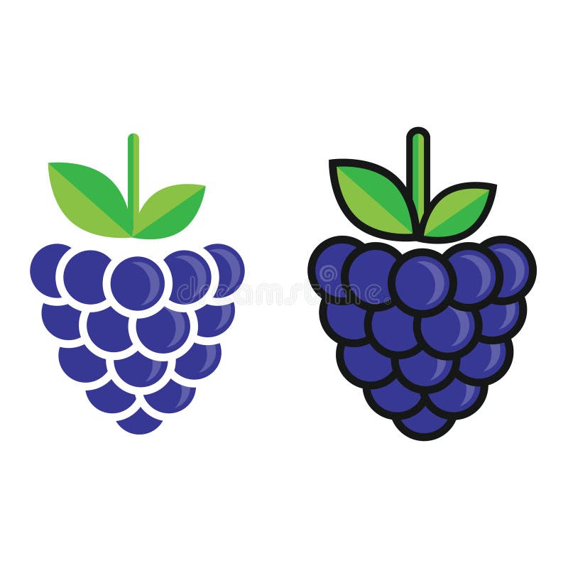 Blackberry Sketch Illustration Stock Illustrations – 4,192 Blackberry ...