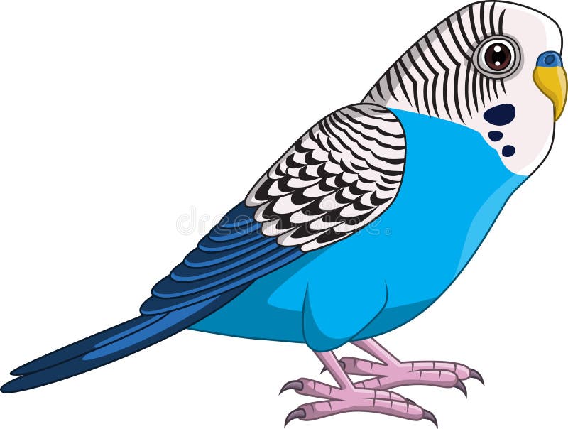Parakeet Clipart