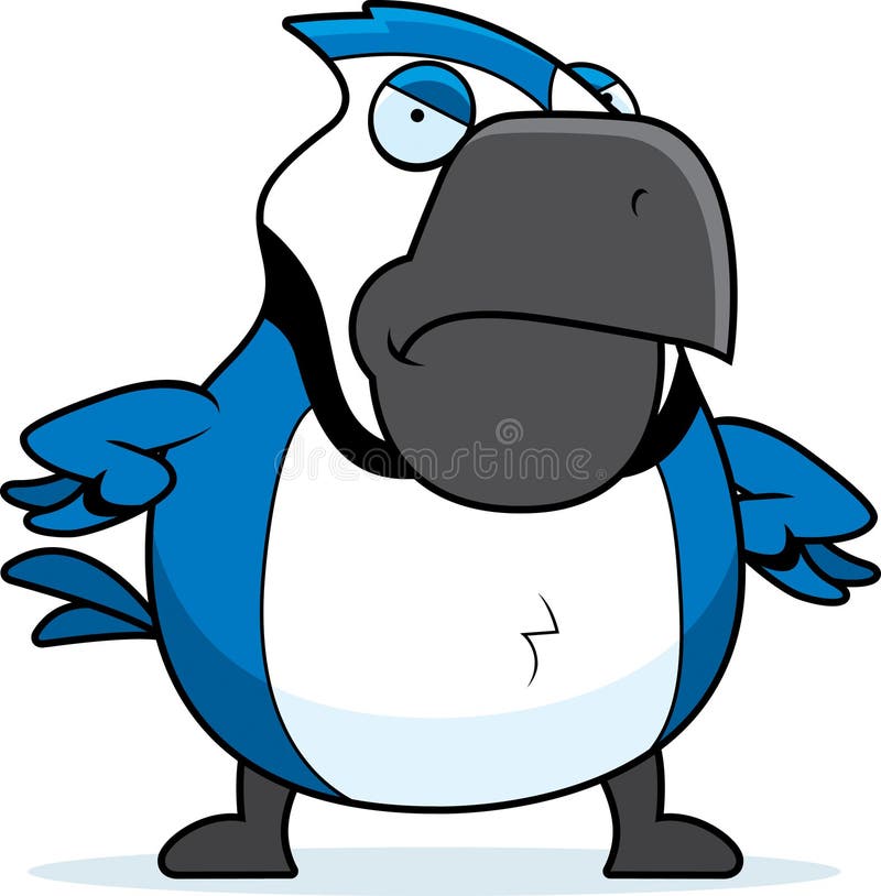 Cartoon Blue Jay Angry stock vector. Illustration of vector - 41817968