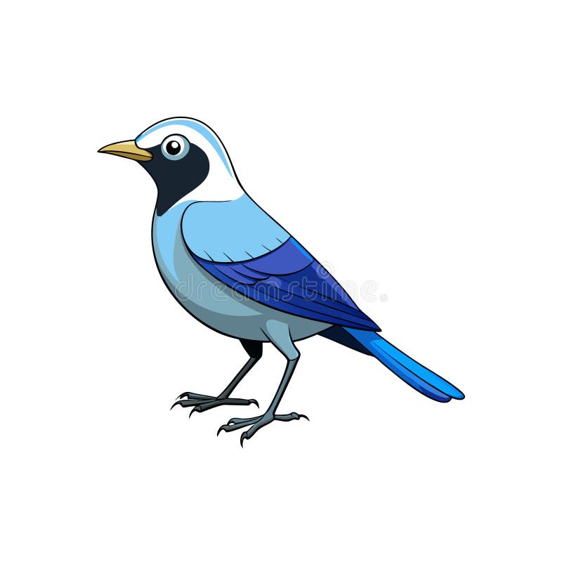 Cute Cartoon Blue Jay Standing Stock Illustrations – 72 Cute Cartoon ...