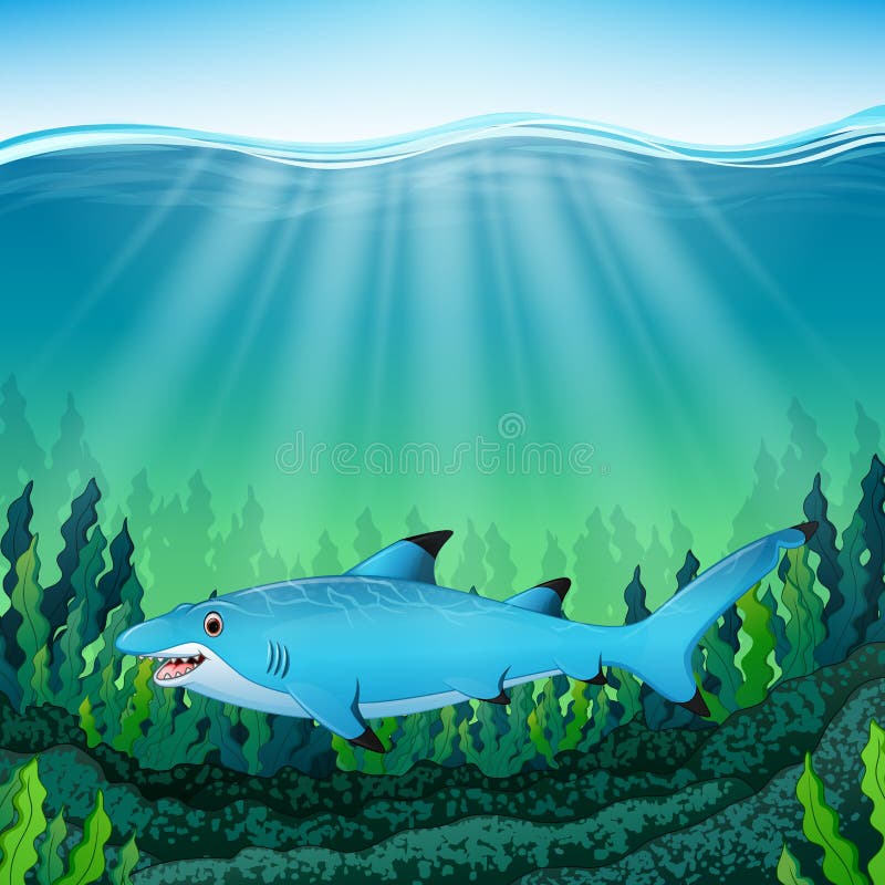 Cartoon Shark Under the Sea Stock Vector - Illustration of funny, shark ...