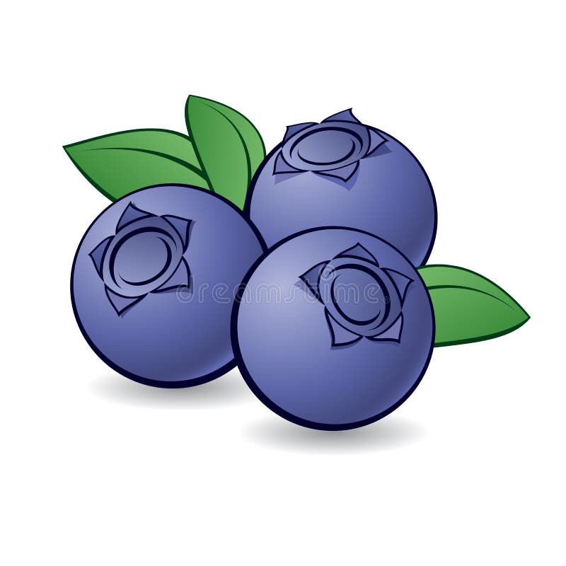 Cartoon blueberry. stock vector. Illustration of juicy - 36146227