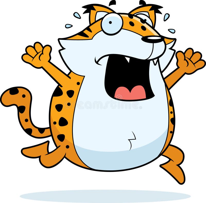 Cartoon Bobcat Panic stock vector. Illustration of animal - 52247909