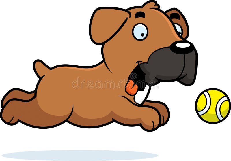 Cartoon Boxer Chasing Ball Stock Illustrations – 1 Cartoon Boxer ...