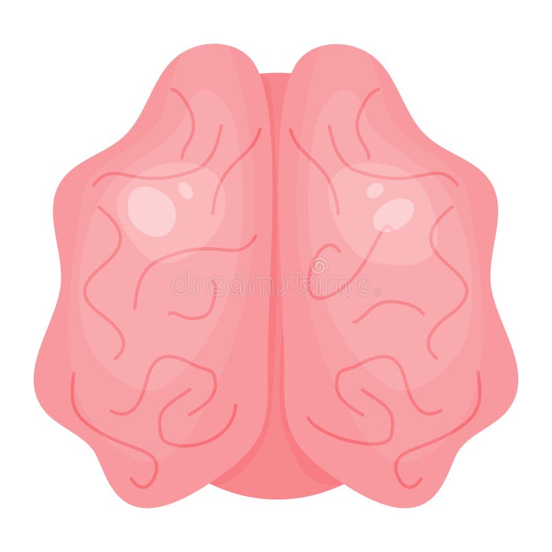 Cartoon Brain. Human Organ Central Nervous System. Vector Illustration ...