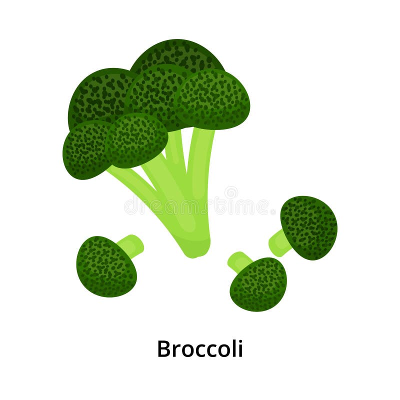 Cartoon Broccoli Vector Image Outline Icon Stock Vector - Illustration ...