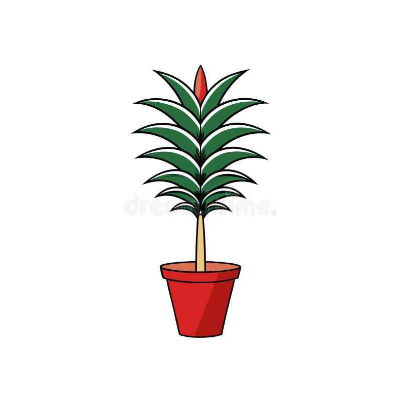 Cartoon Bromeliad Plant in Pot Vector Illustration Stock Photo ...