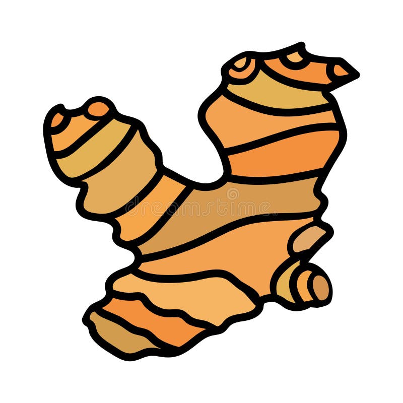 Ginger Root Cartoon Stock Illustrations – 817 Ginger Root Cartoon Stock ...