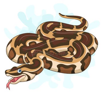 Burmese Python Stock Illustrations – 159 Burmese Python Stock ...