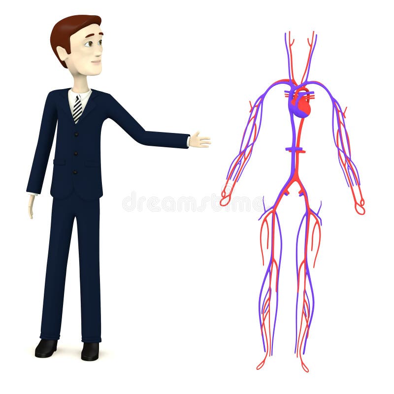 Circulatory system stock illustration. Illustration of paint - 35698392