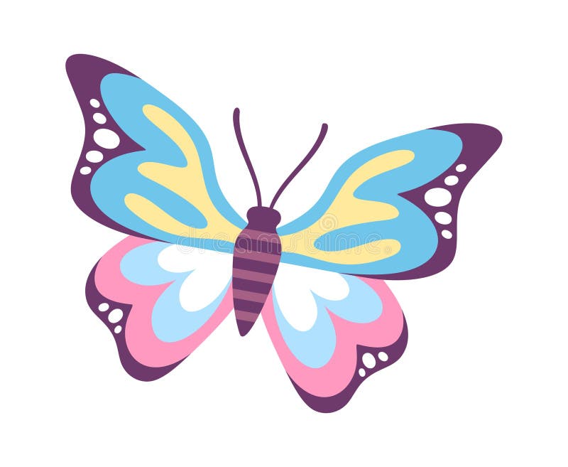 Cartoon Butterfly Bright Insect Design Stock Vector - Illustration of ...