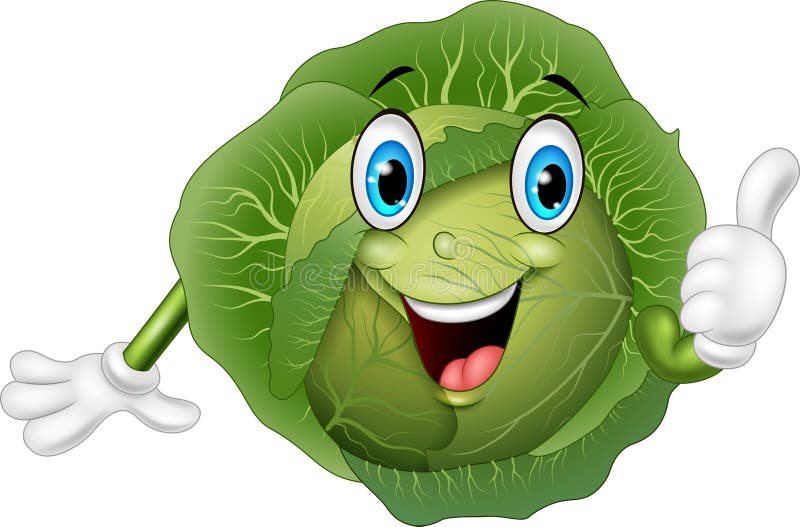 Cabbage Clip Art Cabbage Clip Art Vectors Download Free High Quality
