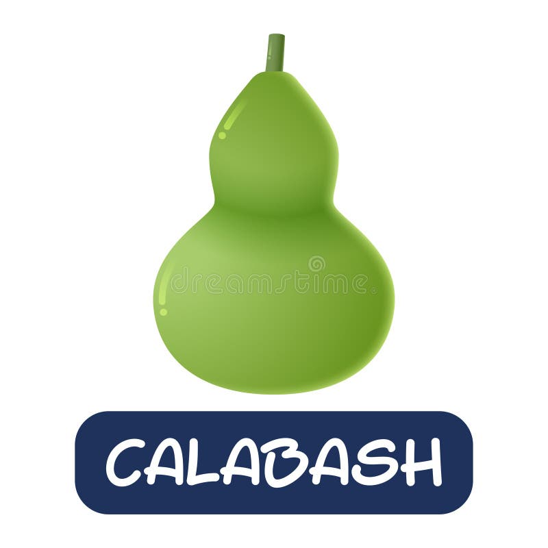 Cartoon Calabash Vegetables Vector Isolated on White Background Stock ...