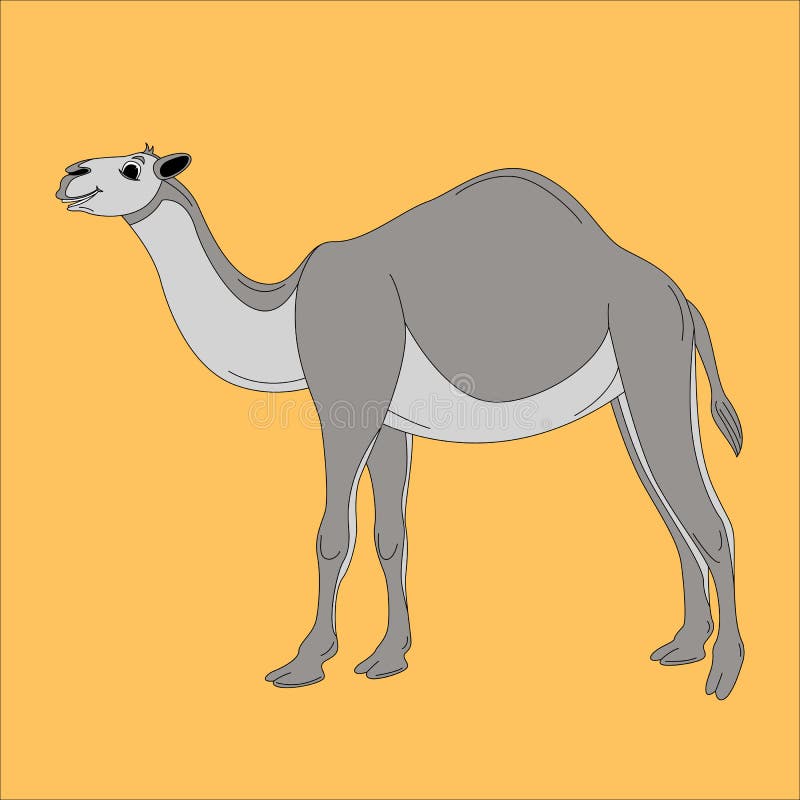 Cartoon Style Camel Illustration Stock Vector - Illustration of ...