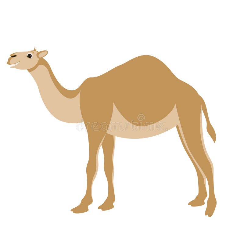 Camel Side View Cartoon Stock Illustrations – 134 Camel Side View ...