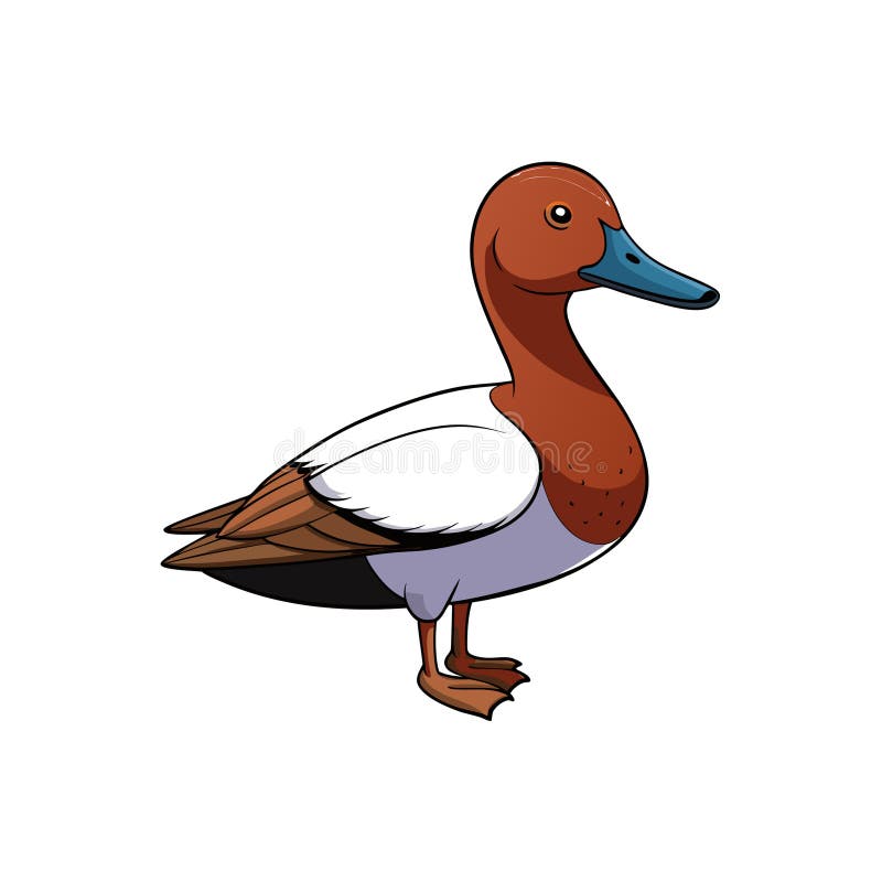 Cartoon Canvasback Duck Illustration in a Flat Style Stock Image ...