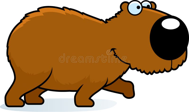 Capybara Smiling Stock Illustrations – 24 Capybara Smiling Stock ...