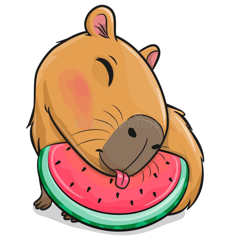 Cartoon Capybara with Watermelon on a White Background Stock Vector ...