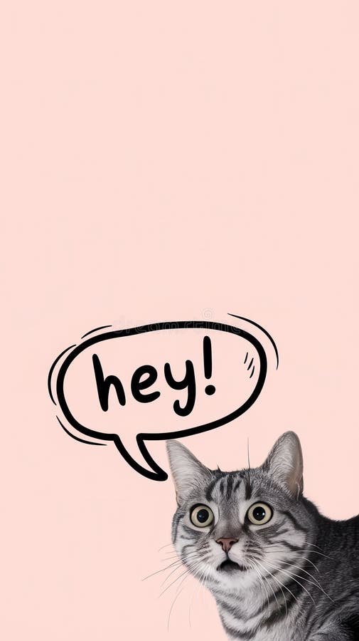 Cartoon Cat Illustration on Pink Background with Hey! Bubble Stock ...