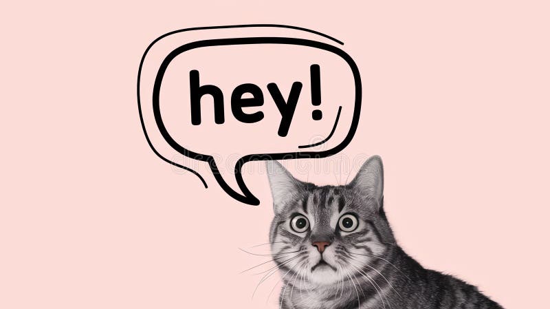 Cartoon Cat Saying Hey! with Exaggerated Expression on Pink Stock ...