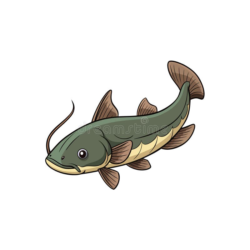 Cartoon Catfish Illustration in Side View on White Backdrop Stock Image ...