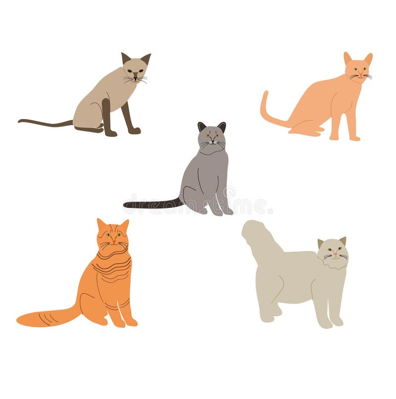 Cartoon cats vector set. stock vector. Image of character - 68460463