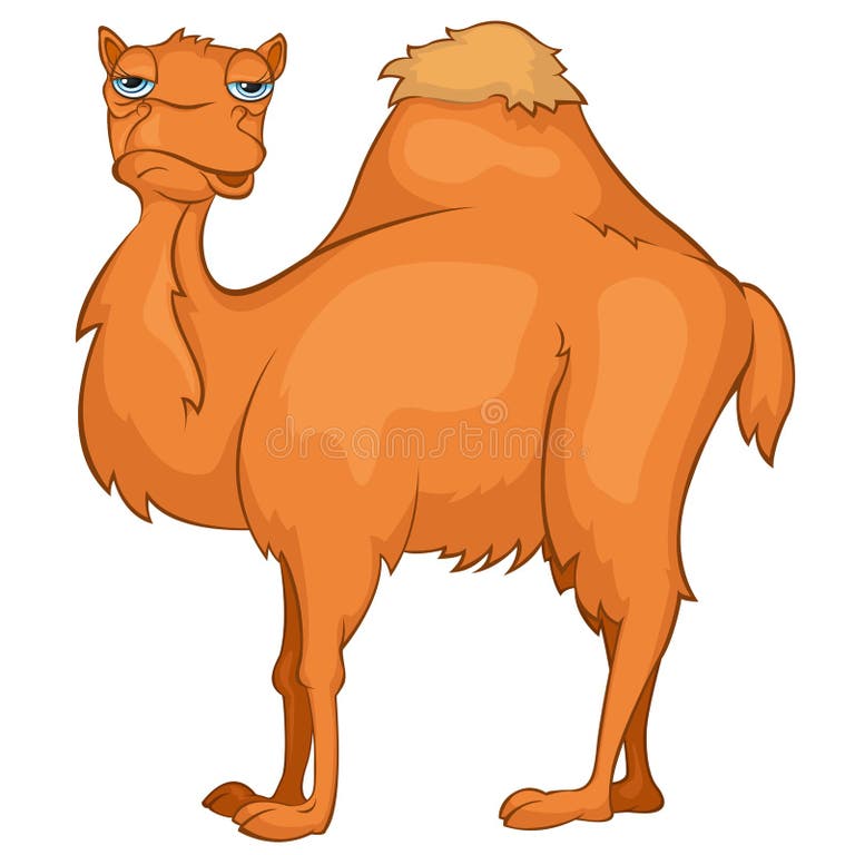 Dromedary Camel Character Stock Illustrations – 1,133 Dromedary Camel ...