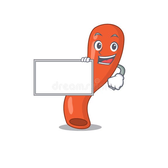 Cartoon Character Design of Appendix Holding a Board Stock Vector ...