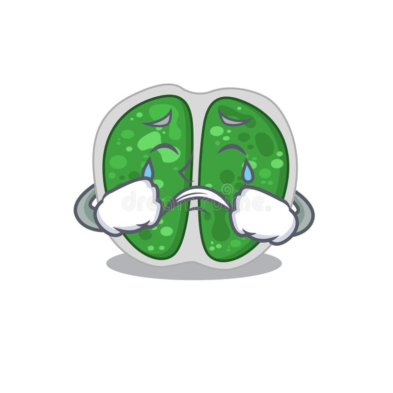 Crying Salmonella Stock Illustrations – 12 Crying Salmonella Stock ...