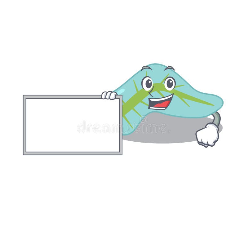 Cartoon Character Design of Pancreas Holding a Board Stock Vector ...