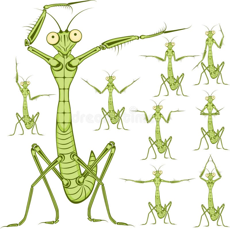 Cartoon character Mantis. stock vector. Illustration of mascot - 67119847