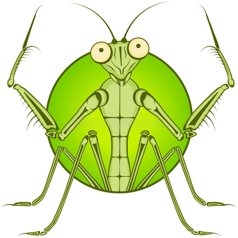 Cartoon character Mantis. stock vector. Illustration of gesturing ...