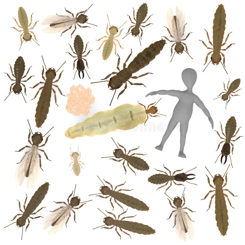 Cartoon Character with Many Termites Stock Illustration - Illustration ...