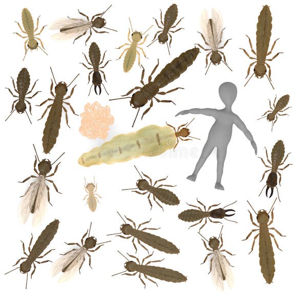 Cartoon Character with Many Termites Stock Illustration - Illustration ...