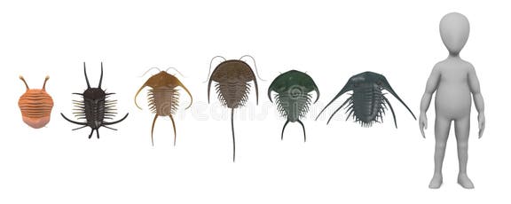 Cartoon Character with Trilobites Set Stock Illustration - Illustration ...