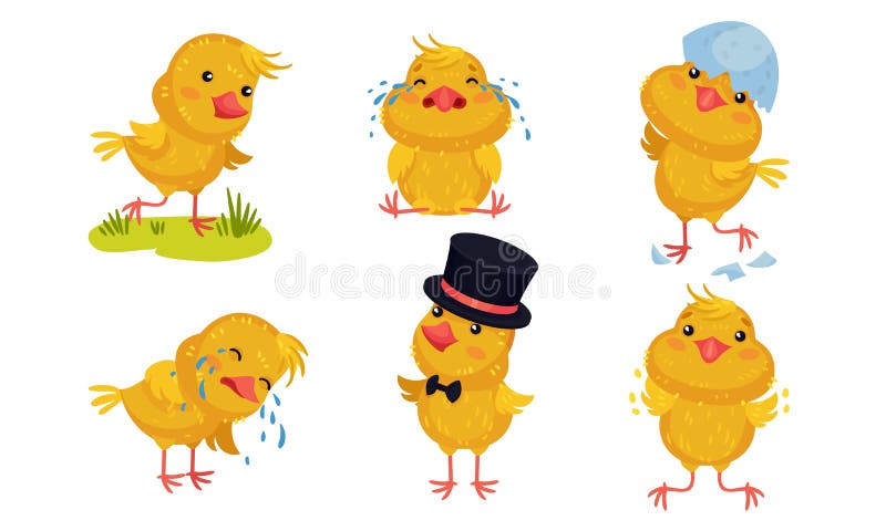 Crying Chicken Stock Illustrations – 310 Crying Chicken Stock ...