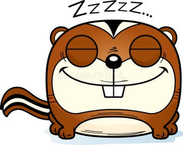 Cartoon Sleeping Chipmunk Stock Illustrations – 50 Cartoon Sleeping ...