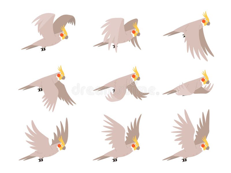 Bird Flying Frame Animation Stock Illustrations – 205 Bird Flying Frame ...