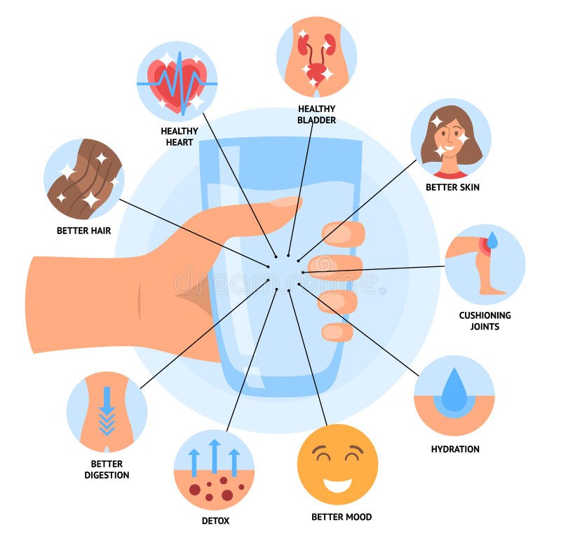 Benefits Of Drinking Water Infographics Body Water Vector Stock Vector