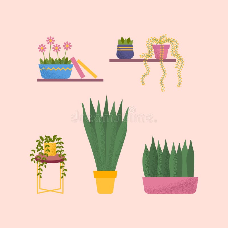 Cartoon Color Different Types Houseplant Set. Vector Stock Vector ... Cartoon Color Different Types Houseplant Set. Vector Stock Vector ...