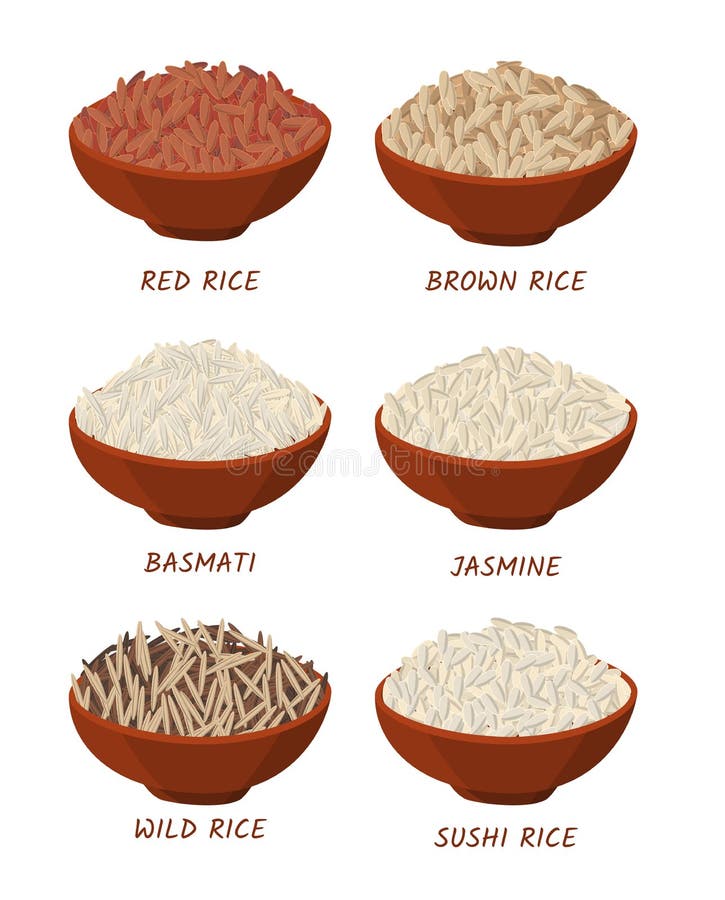 Different Types Rice Stock Illustrations – 1,581 Different Types Rice ...