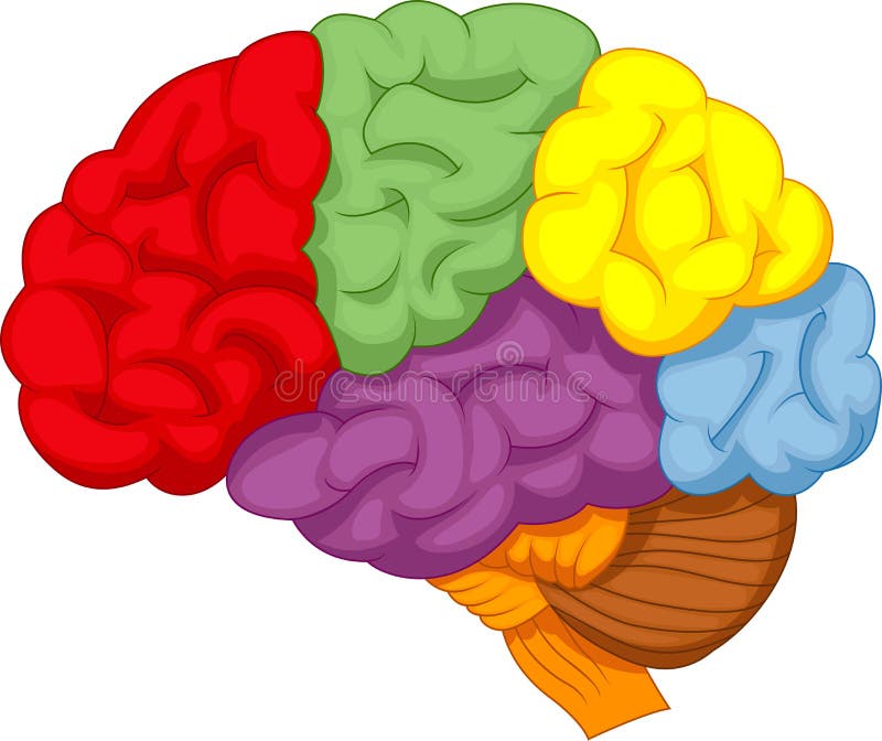 Colorful Brain Drawings