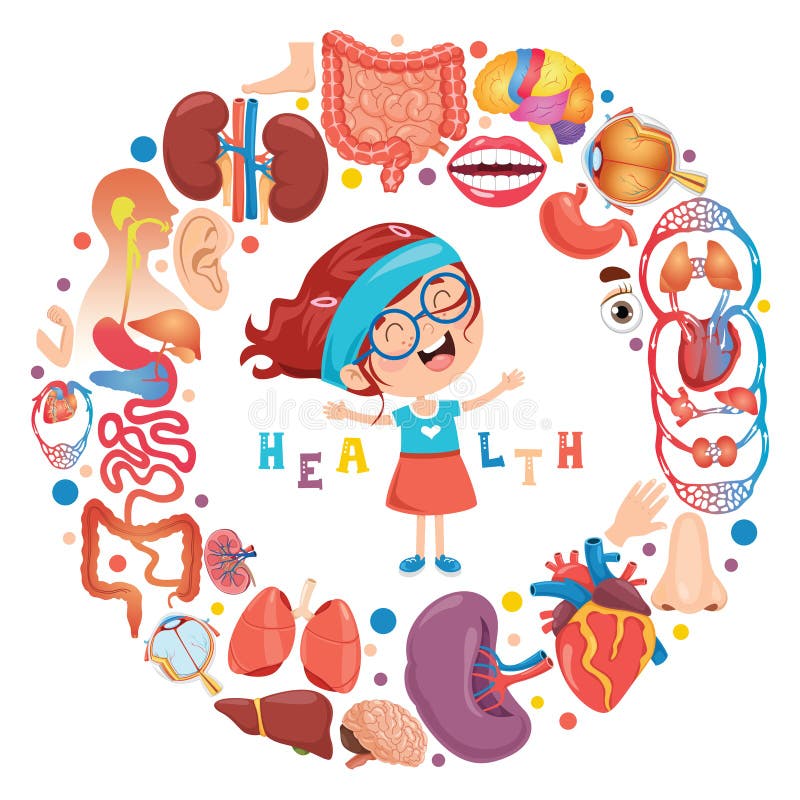 Cartoon Concept of Human Organs Stock Vector - Illustration of disease ...