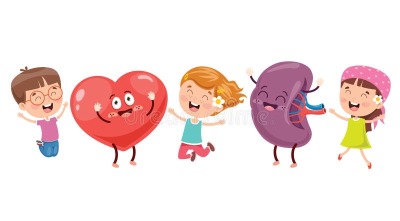 Cartoon Concept of Human Organs Stock Vector - Illustration of care ...