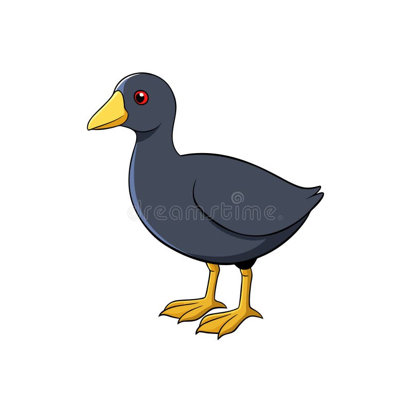 Cartoon Coot Illustration with Black Feathers and Yellow Beak Stock ...